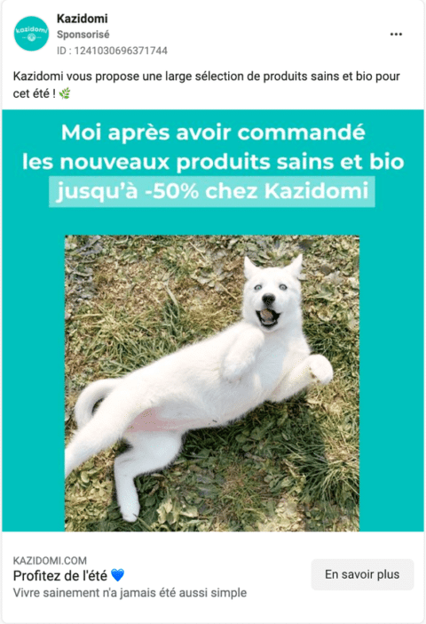 10 exemples géniaux de publicité Facebook (que vous devez copier)